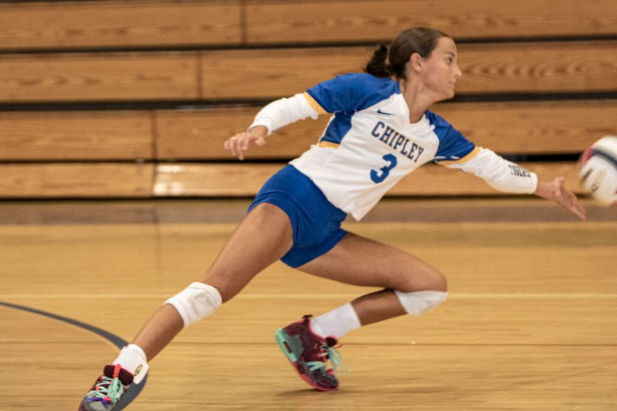 Local News – Chipley Bugle