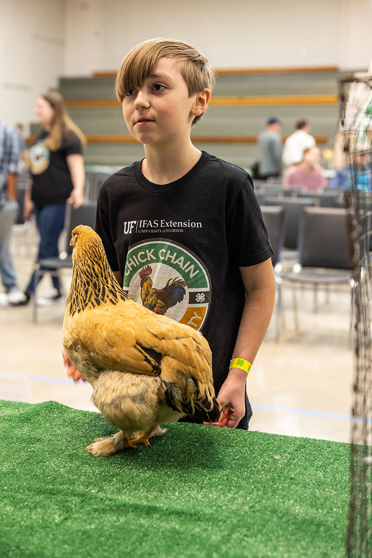 2023 Northwest District Chick Chain Show – Chipley Bugle