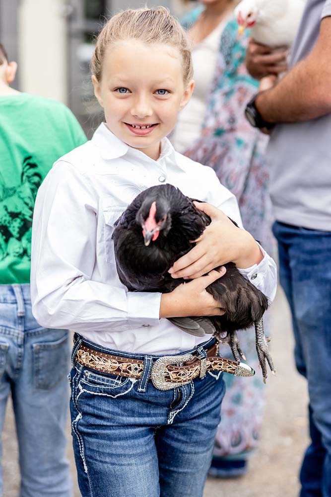 The 4-H Chick Chain Project – Chipley Bugle