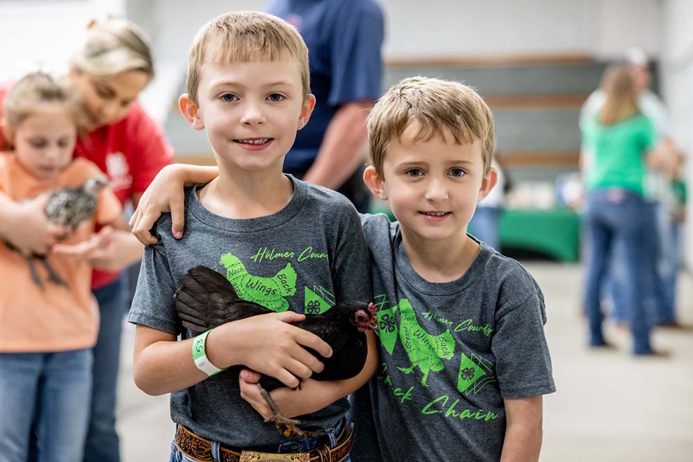 The 4-H Chick Chain Project – Chipley Bugle