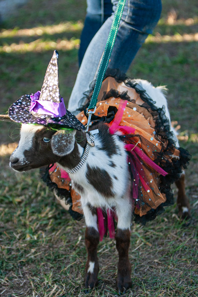 November 1, 2023 – Chipley Bugle