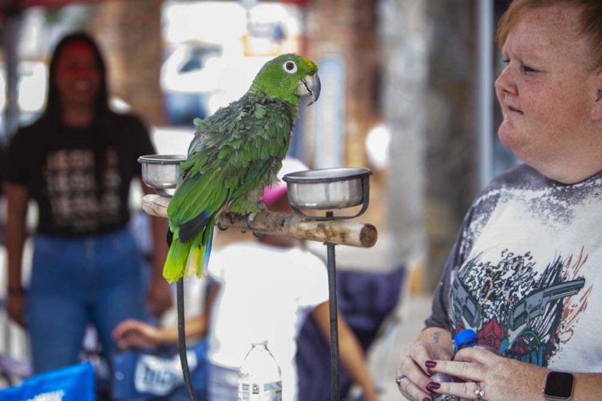 81st Northwest Florida Championship Rodeo – Chipley Bugle