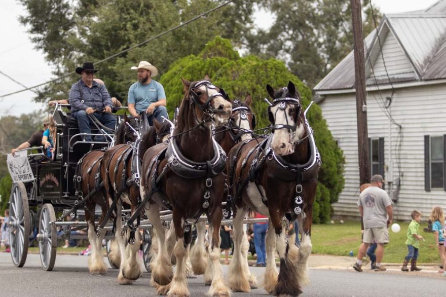 Events – Chipley Bugle